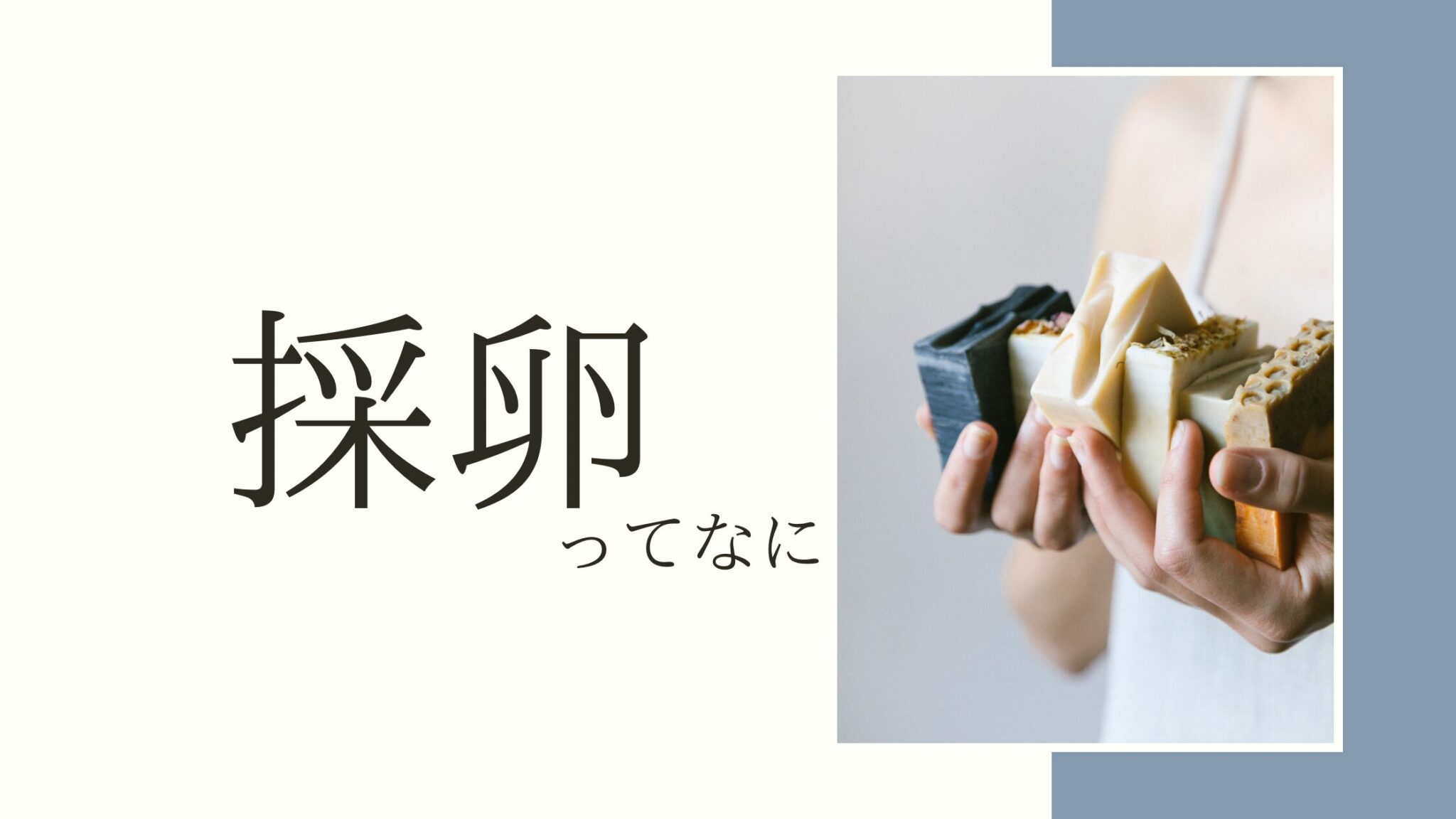 【体外受精】BT0～BT6まで！体調の変化をまとめました！BT6の妊娠検査薬あり！ - 主婦の時間